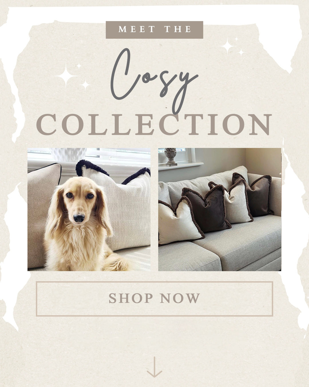 Luxury Cushions – The Cosy Cushion Shop